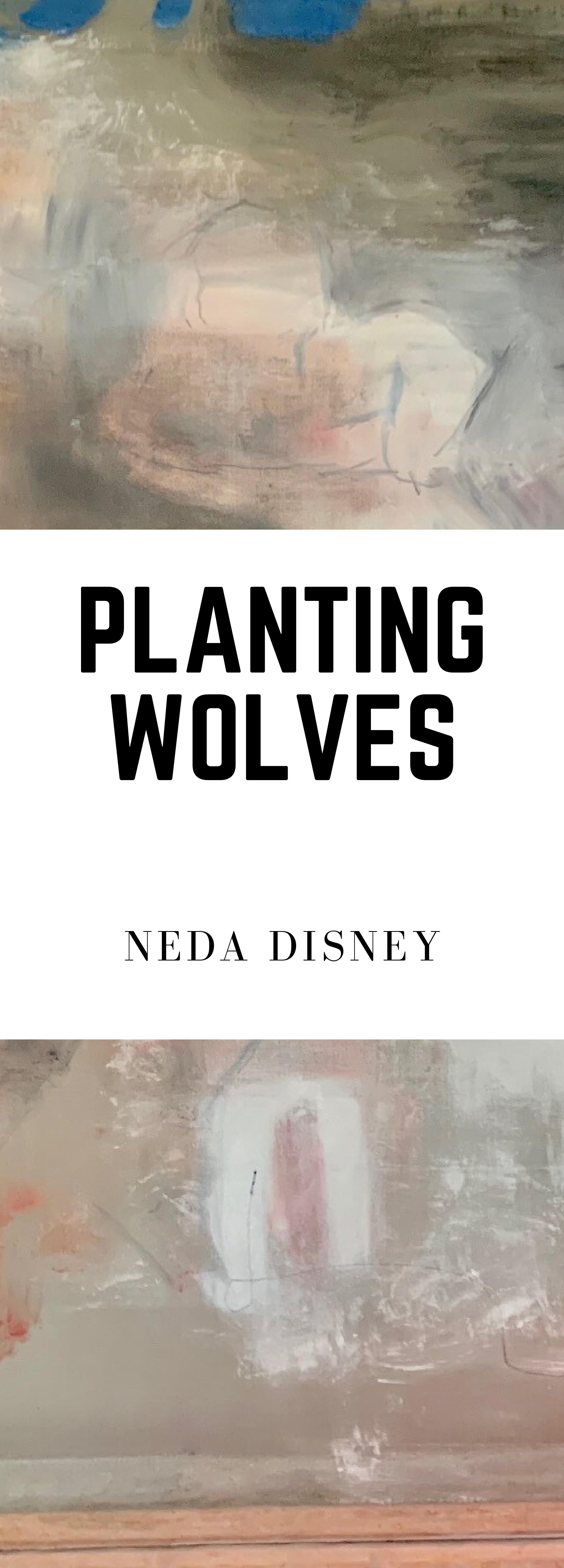 Neda Disney Planting Wolves Book Launch Event | Coriolis Company