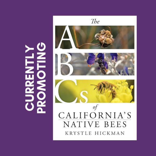 Currently Promoting: The ABCs of California's Native Bees